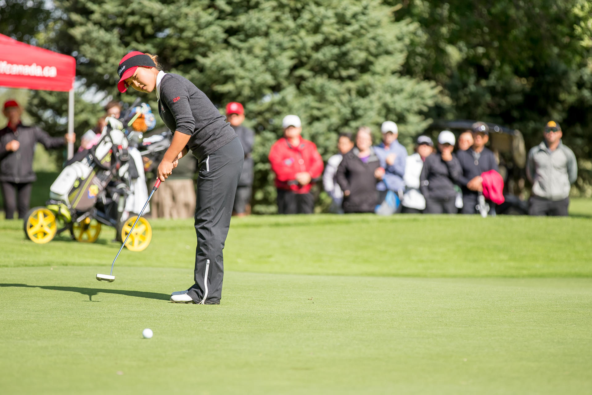 Homepage - Deer Park Golf Course